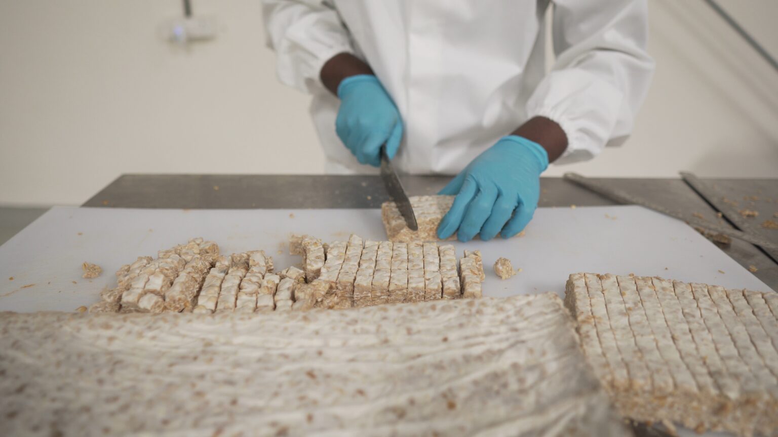 The production process of tempeh in our SFUs | Tempeh today
